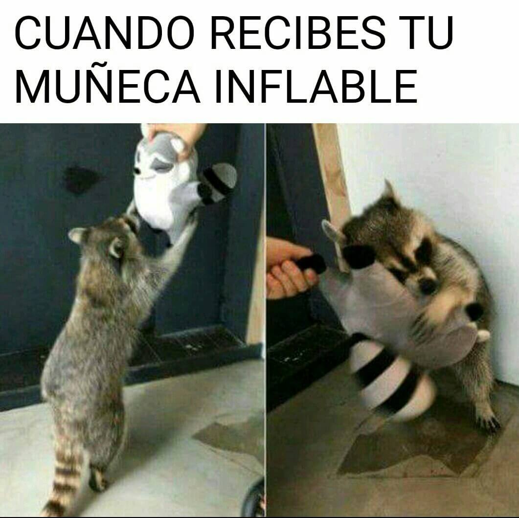 Cuando recibes tu muñeca inflable - QueComico.com