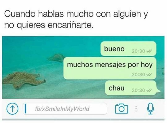 Cuando no te quieres encariñar con alguien - QueComico.com